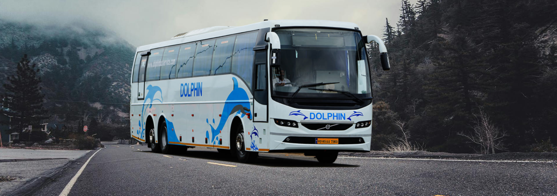 Dolphin Bus Service | ONLINE BUS TICKET BOOKINGS & TRAVEL SERVICES